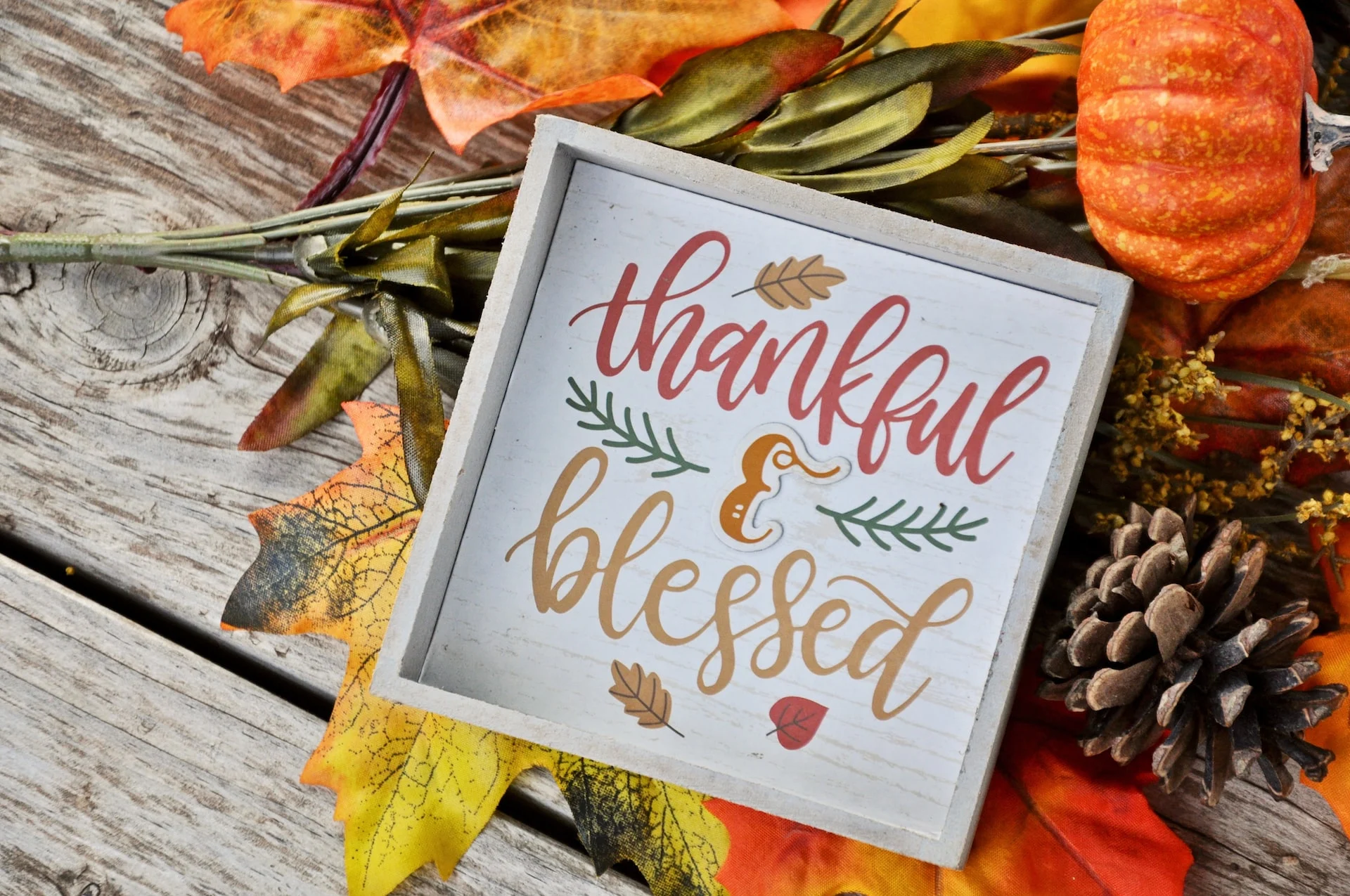 Thanksgiving - Contentment and Thankfulness | Coach Connect